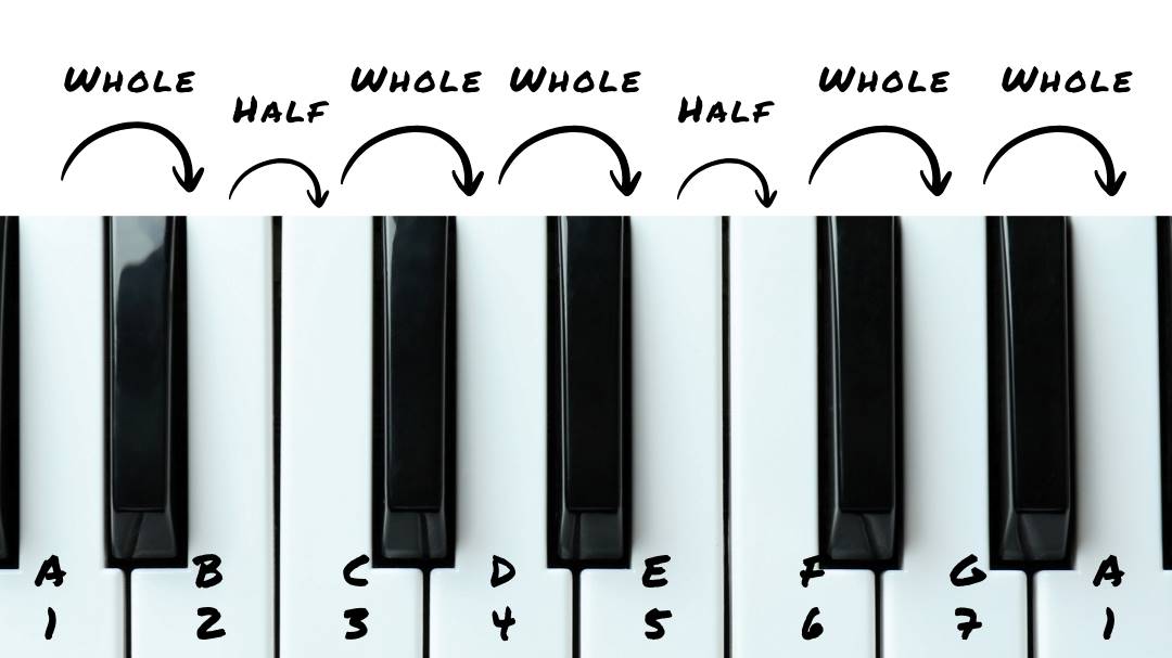 AMP Formuliacs: Unlocking the Secrets of Major and Minor Scales - AMP ...